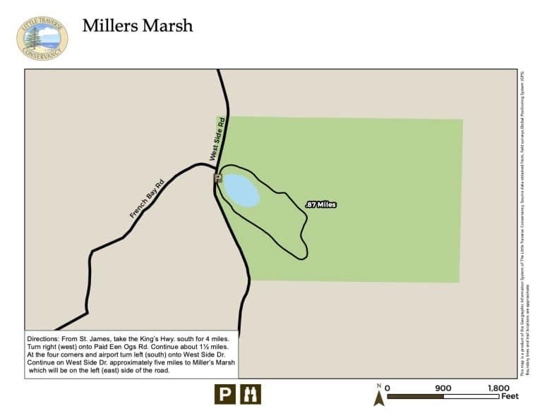 Miller’s Marsh Natural Area - Northern Michigan Land Trust - Little ...