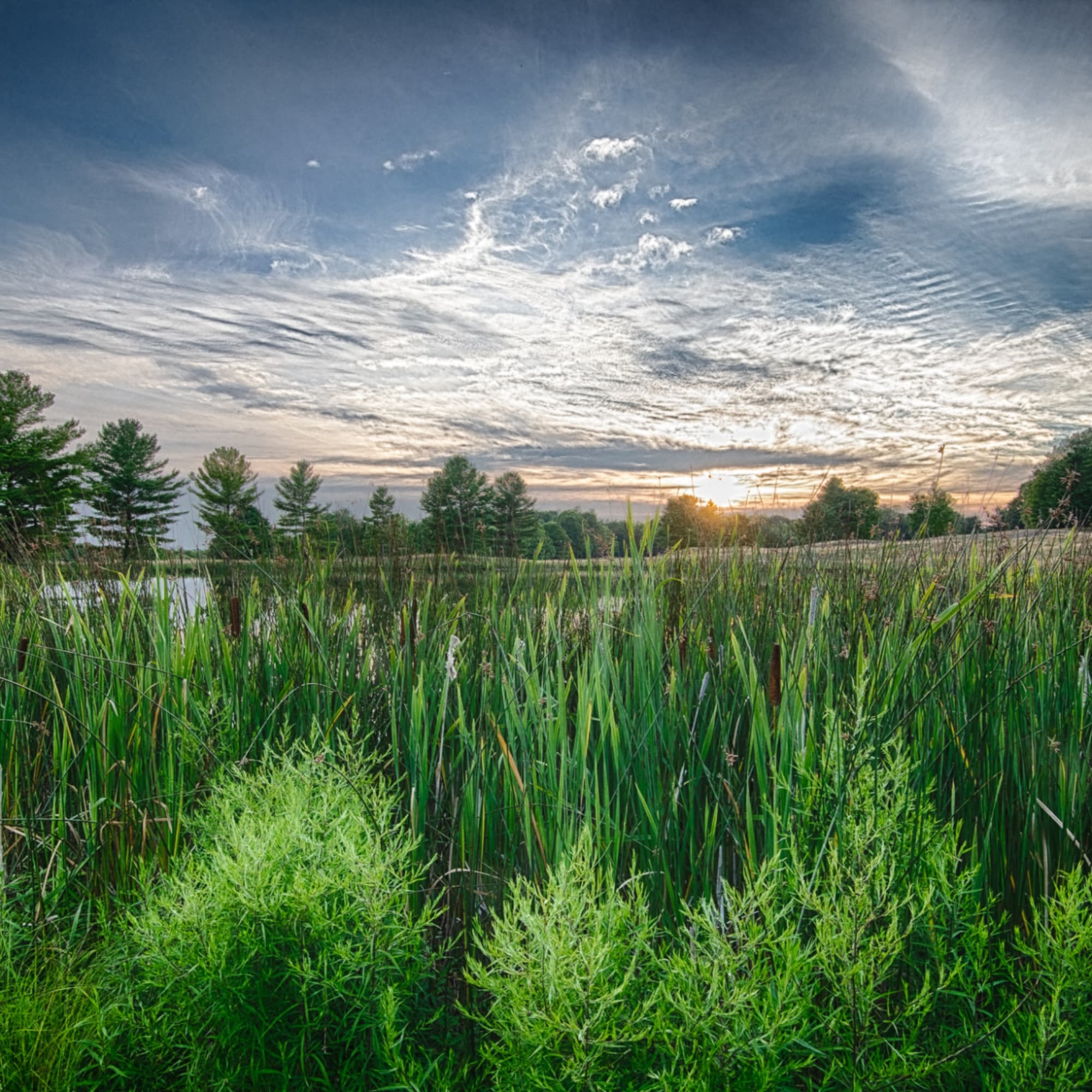 Current Land Protection Projects | Northern Michigan Land Trust ...