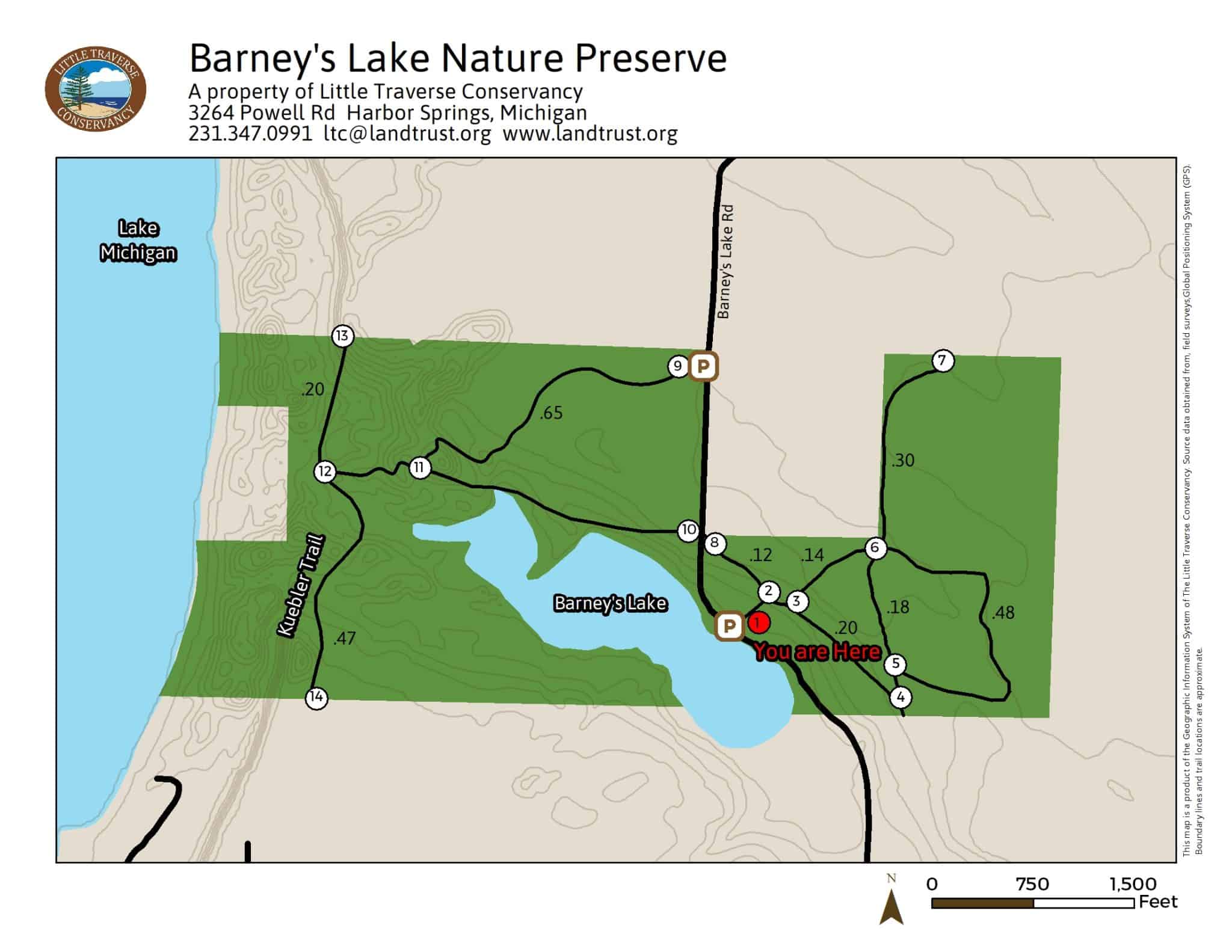 Barney's Lake Nature Preserve - Northern Michigan Land Trust - Little ...