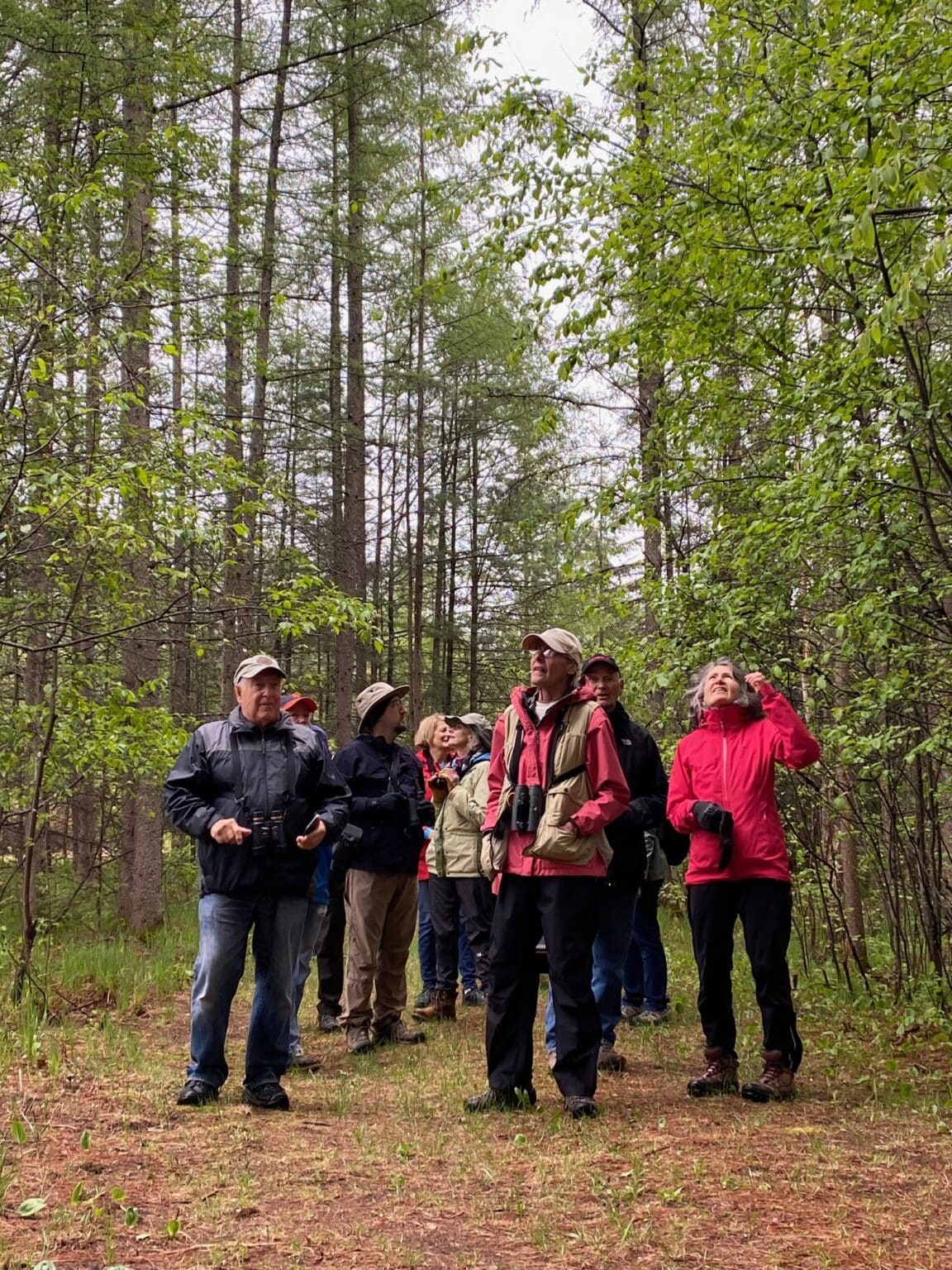 Spring Birding at Greenwood Foundation - Little Traverse Conservancy